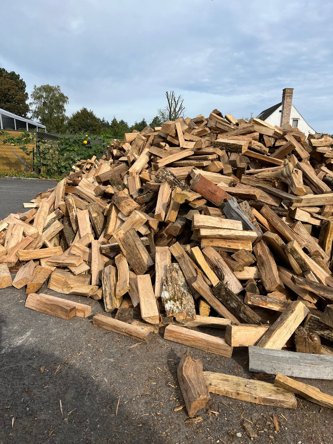 Brandhout kopen? Hoogwaardig droog brandhout bestellen – Brandhout ...